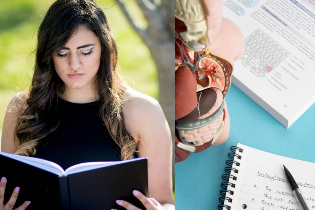 Anatomy and Physiology – How Hard Is It Really? – campusrats.com
